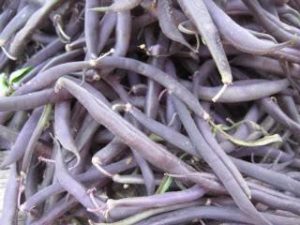 Beans - Pink Half Runner 1# - Williamson Farmers Co-op